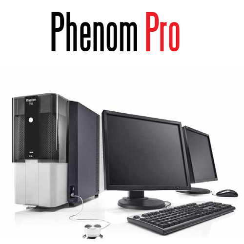 Phenom-world - Phenom-world